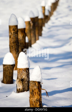 Wooden fence covered with fresh snow in winter Stock Photo - Alamy