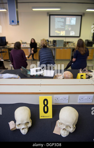 Training exhibits during a Forensic Anthropology lecture at the ...