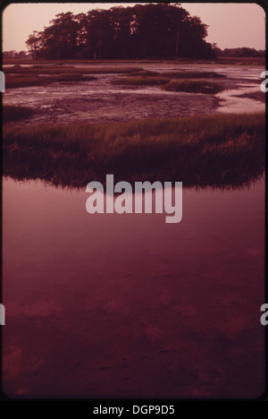 The Tiverton Salt Marsh, located in Rhode Island, is an important ...