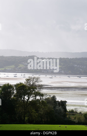 The river Exe estuary at low tide Stock Photo - Alamy