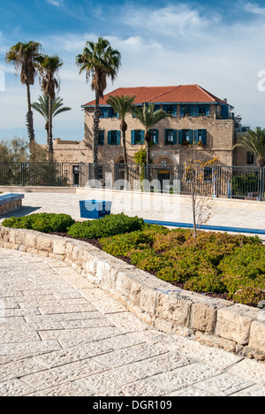 A palm tree in front of an old stone wall in Spain, Provinze of ...