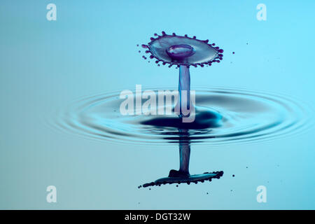 Drop hitting a drop causing a bizarre formation in coloured water Stock ...