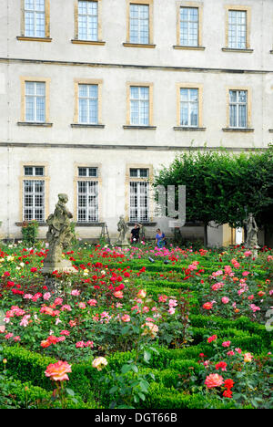 Roses at National Rose Garden, New Delhi, India Stock Photo - Alamy