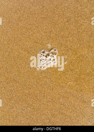 Foam bubbles of the surf on sand Stock Photo - Alamy