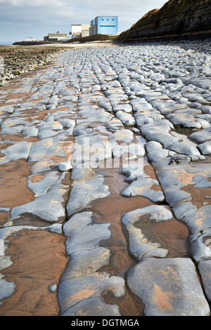 Hinkley Point B nuclear power station, the reactor hall Stock Photo: 89006726 - Alamy