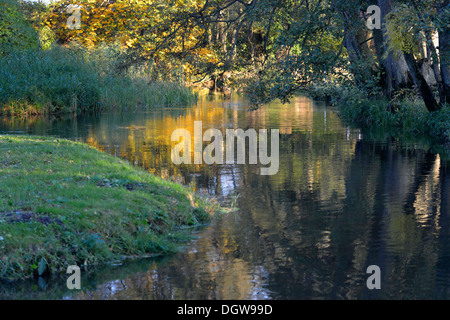 mooth water in river Nybroån coloured by the evening sun Stock Photo ...
