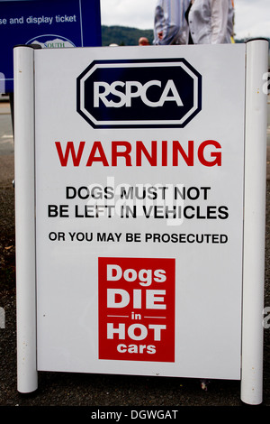 Dogs die in hot cars RSPCA warning sign Stock Photo - Alamy