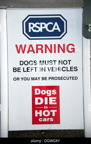 Dogs die in hot cars RSPCA warning sign Stock Photo - Alamy