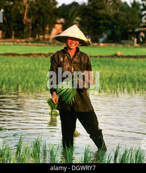 A smiling woman stands by a rice paddy in Indonesia, embraced by the ...