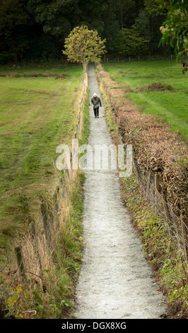 On the Straight and Narrow Stock Photo - Alamy