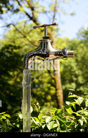 jet of water out of tap, close-up Stock Photo - Alamy