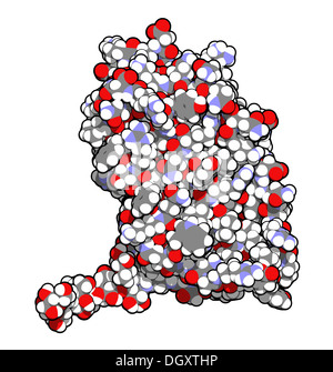 Interferon beta molecule, chemical structure. Cytokine used to treat ...
