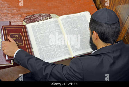 4 religious Jewish students studying Talmud at Lubavitch headquarters ...