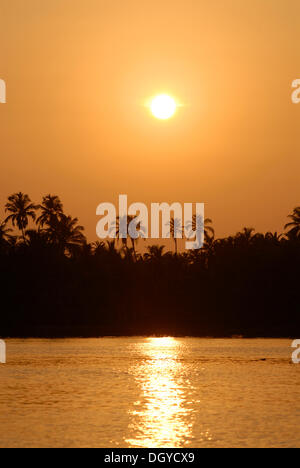Sunset, palm trees, Backwaters, Nileshwaram, Malabar Coast, northern ...