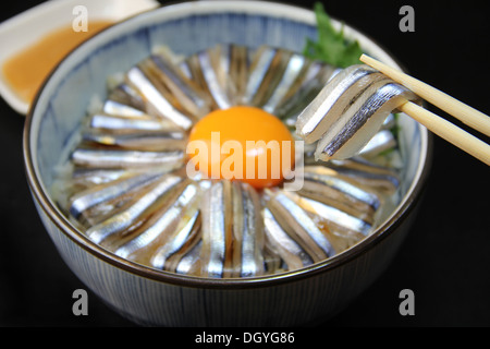 Banded blue-sprat bowl Stock Photo - Alamy