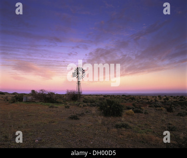 A windmill at sunrise in the Karoo near Prince Albert Stock Photo - Alamy