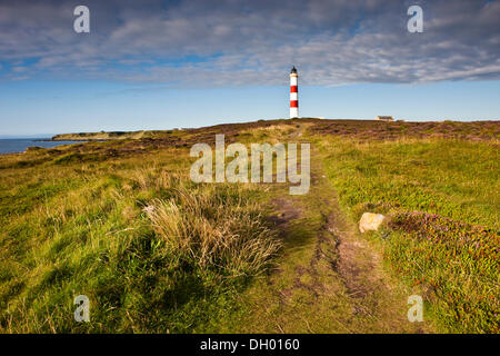 Path leading to a lighthouse, Tarbat Ness, Scotland, United Kingdom ...