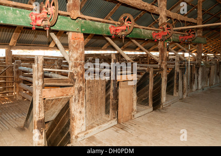 inside a sheep shearing shed Australia Stock Photo - Alamy