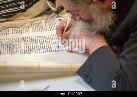 Sofer finishes final letters the Chabad of Harlem's Sefer Torah in ...