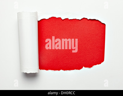 ripped textured white paper with curl edges on orange background Stock ...