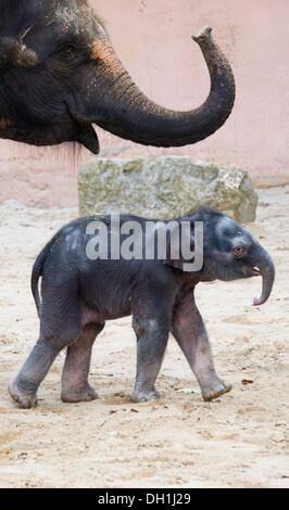 Hanover, Germany. 29th Oct, 2013. Roofers work on the roof of a house ...
