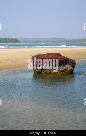 Bhogwe beach Vengurla sindhudurg Maharashtra India Asia Stock Photo - Alamy