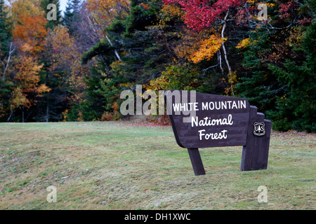 White Mountain National Forest, New Hampshire Stock Photo - Alamy