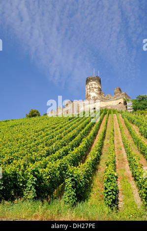 Burg Fuerstenberg Castle, UNESCO World Cultural Heritage Site, Upper ...