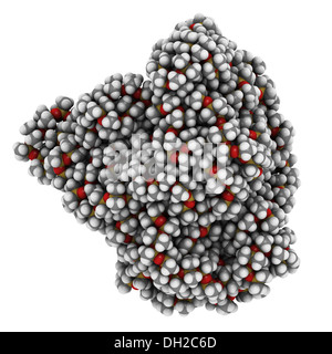 Silicone oil (Polydimethylsiloxane, PDMS) silicone polymer, chemical ...