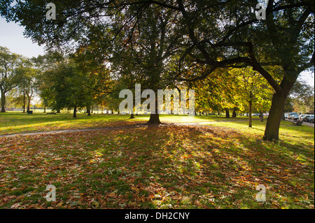Parks and Open Spaces - Clapham Common - London Stock Photo: 110811787 ...