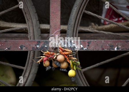 superstition symbol good luck lemon coal and green chillies Stock Photo ...