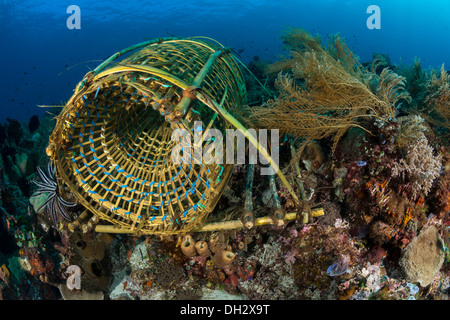 Fish trap on reef, Pantar Island, Alor Archipelago, Lesser Sunda ...