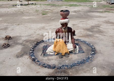 Sadhu performing penance Stock Photo - Alamy