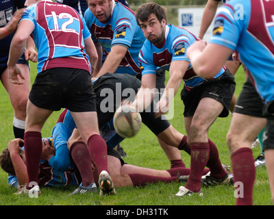 scrum-half about to pass ball during rugby match Stock Photo - Alamy