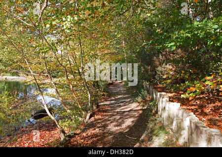 trees fall autumn keston kent england uk Stock Photo - Alamy