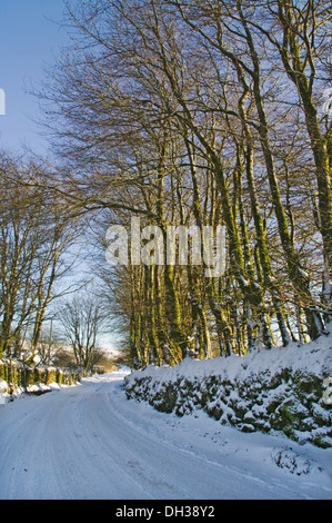 A Devon lane in snowy conditions, near Postbridge, Dartmoor National ...