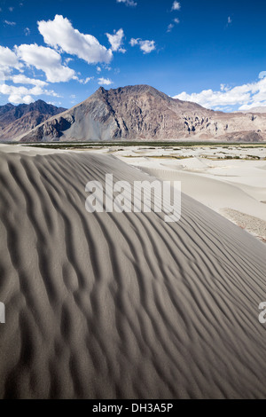 Hunder Sand Dunes of Nubra Valley in Leh Ladakh, Jammu and Kashmir ...