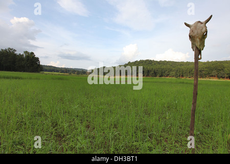 Village landscape, Madhya Pradesh, Chada near Mandala district, India ...