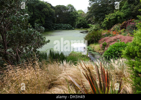One of the ponds at Bonython Estate Gardens, Garden, Helston, Cornwall ...