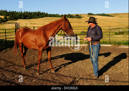 Taming a wild horse Stock Photo - Alamy