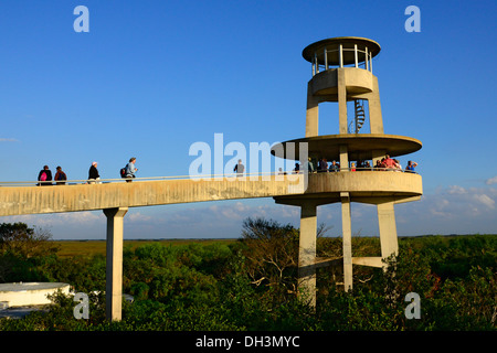 Shark Valley Everglades Visitors Observation Tower Everglades National ...
