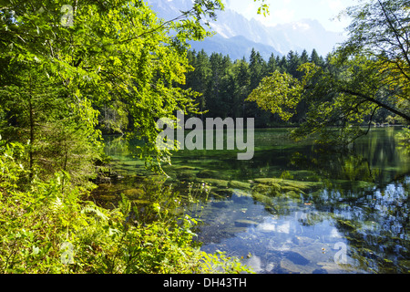 Der Badersee bei Grainau, Garmisch-Partenkirchen, Werdenfels, Bayern ...