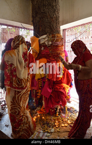 Thread around a sacred tree Stock Photo - Alamy