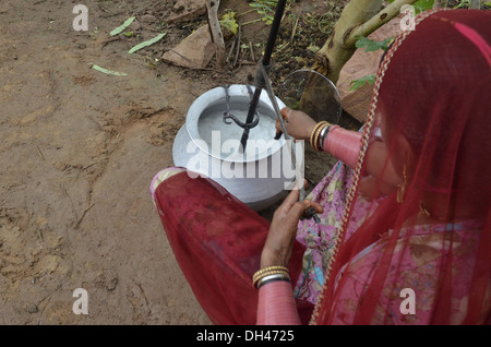 Indian rural woman churning buttermilk ; jodhpur ; rajasthan ; india ...