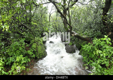 Tamhini Ghat waterfall, Tamhini Ghat, Mulshi, Tamhini, Western Ghat ...