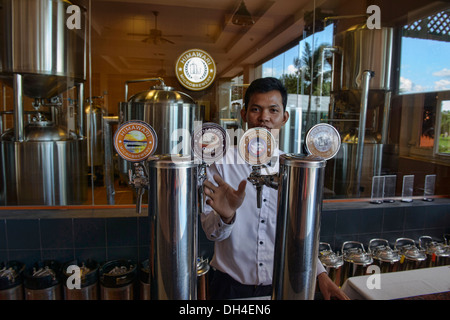 craft beer in a microbrewery, Phnom Penh, Cambodia Stock Photo - Alamy