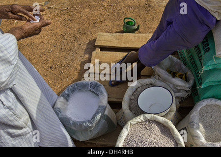 The Dawanau Market, Kano, Nigeria Stock Photo - Alamy