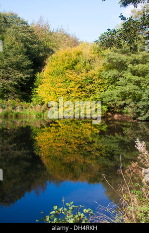 Lake at Calke Abbey Derbyshire UK Stock Photo - Alamy