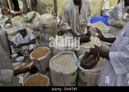 The Dawanau Market, Kano, Nigeria Stock Photo - Alamy