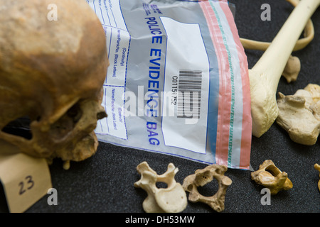 Human and animal remains laboratory exhibits with a Police Evidence Bag ...